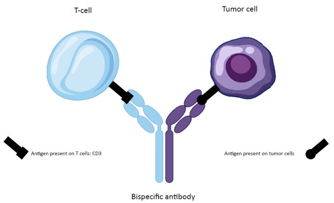 Teclistamab: a promising new treatment for multiple myeloma - SIRIC ...